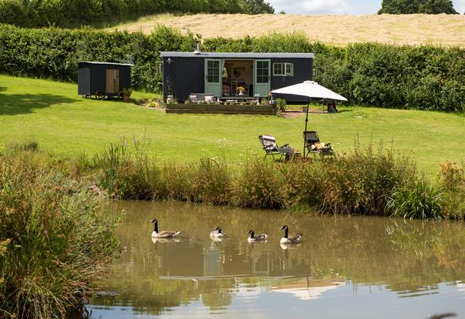 Shepherd's Rest, Luxury Glamping 3.5 miles N of Fowey