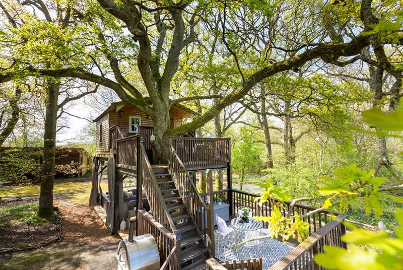 Little Oak Treehouse, Holiday Cottage in Pulborough | West Sussex